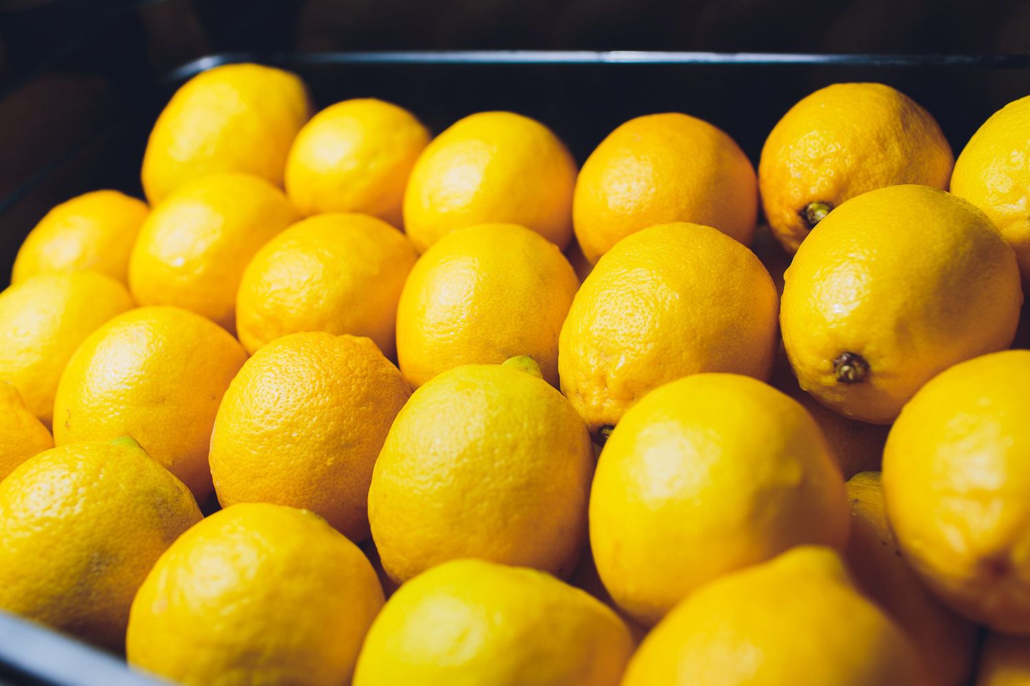 fruits Object Detection Model by kenws1