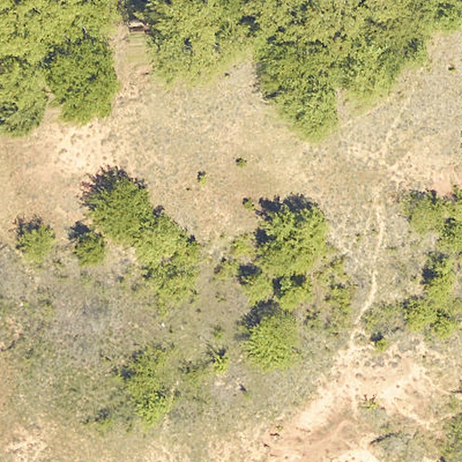 tree_labelling Instance Segmentation Dataset by modelassistedlabeling