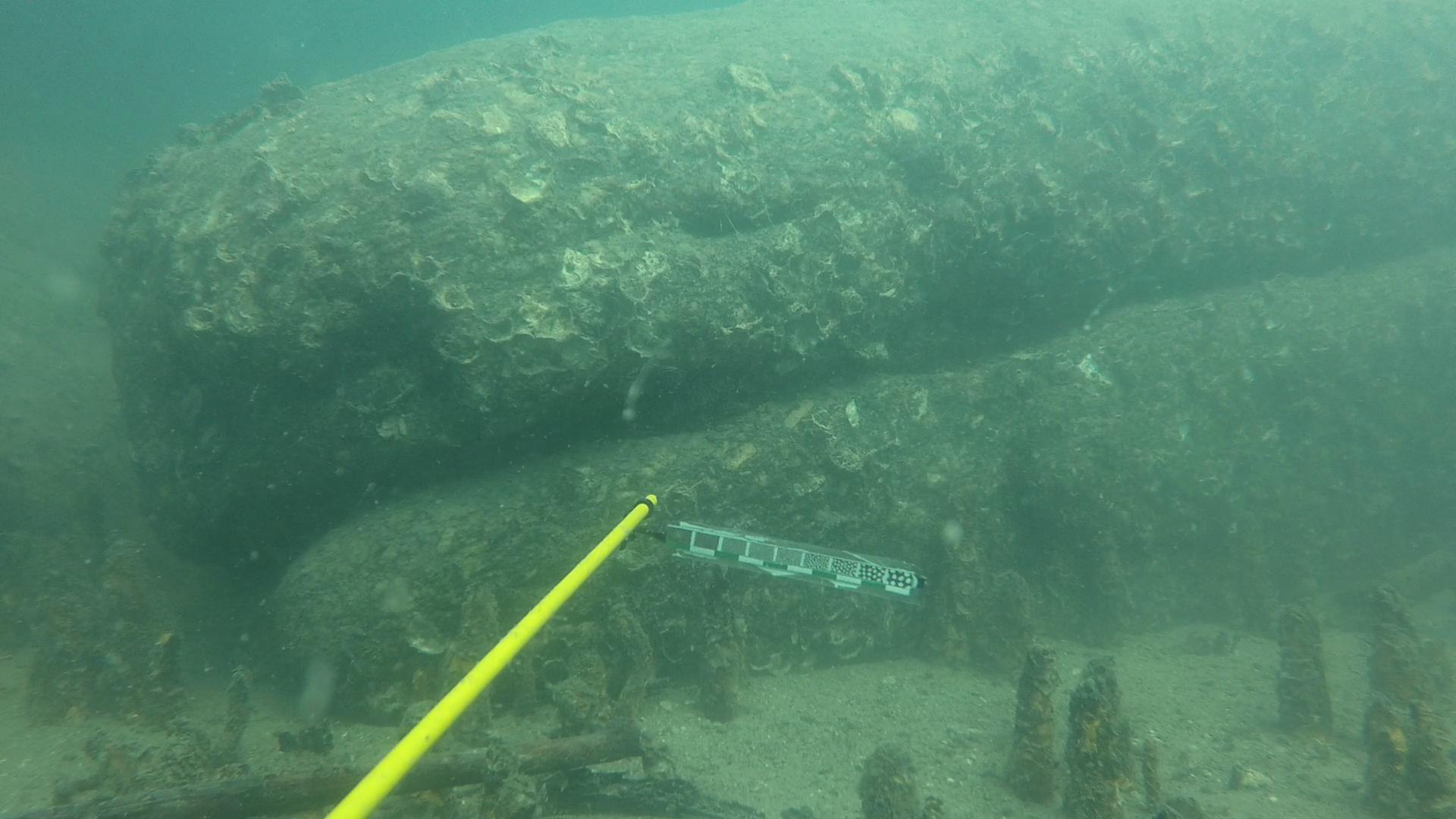 Underwater Object Detection Dataset by mespace