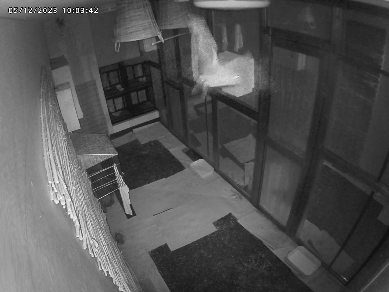 My First Project Object Detection Dataset And Pre Trained Model By Machine Learning