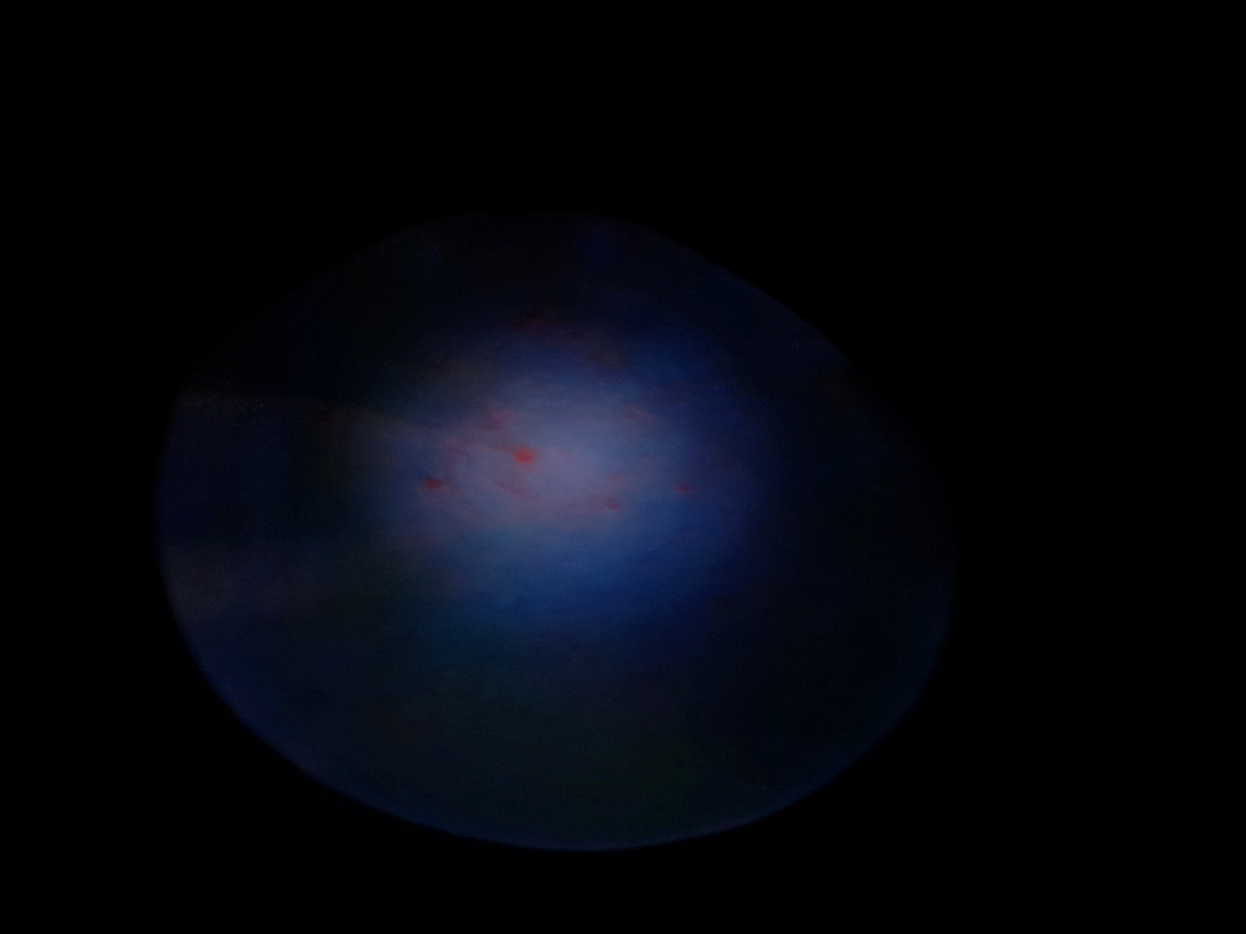 Microplastic Object Detection Dataset by Pu Phongsaran