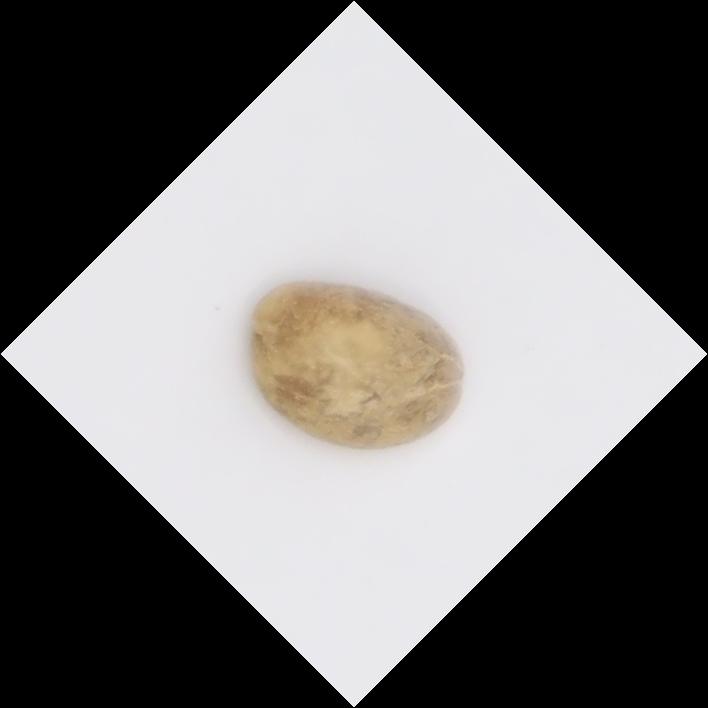Coffee Beans Dataset Object Detection Dataset And Pre Trained Model By Stay