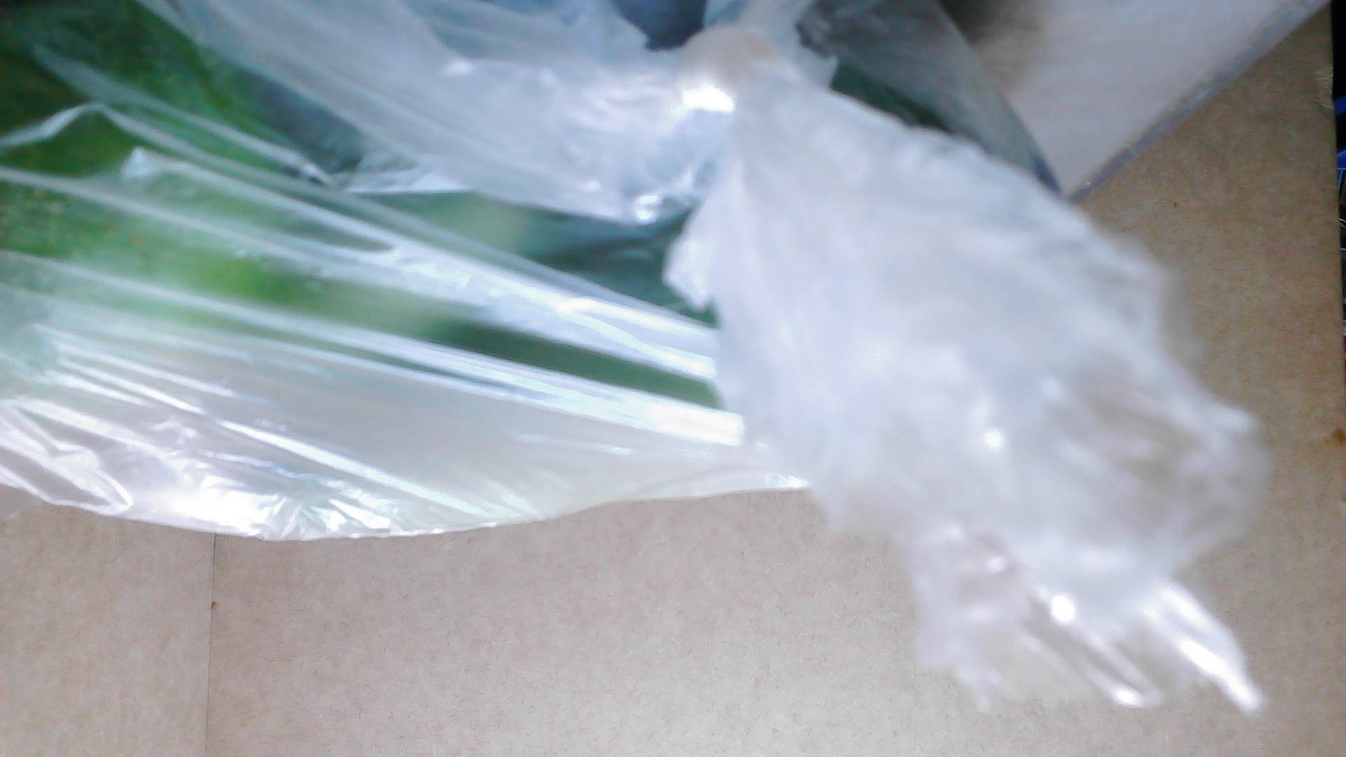 lateral Classification Dataset and Pre-Trained Model by lateralgeneral