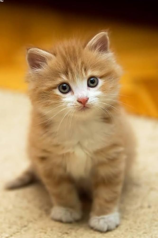 ElixirAI Image Engine - Roboflow Universe