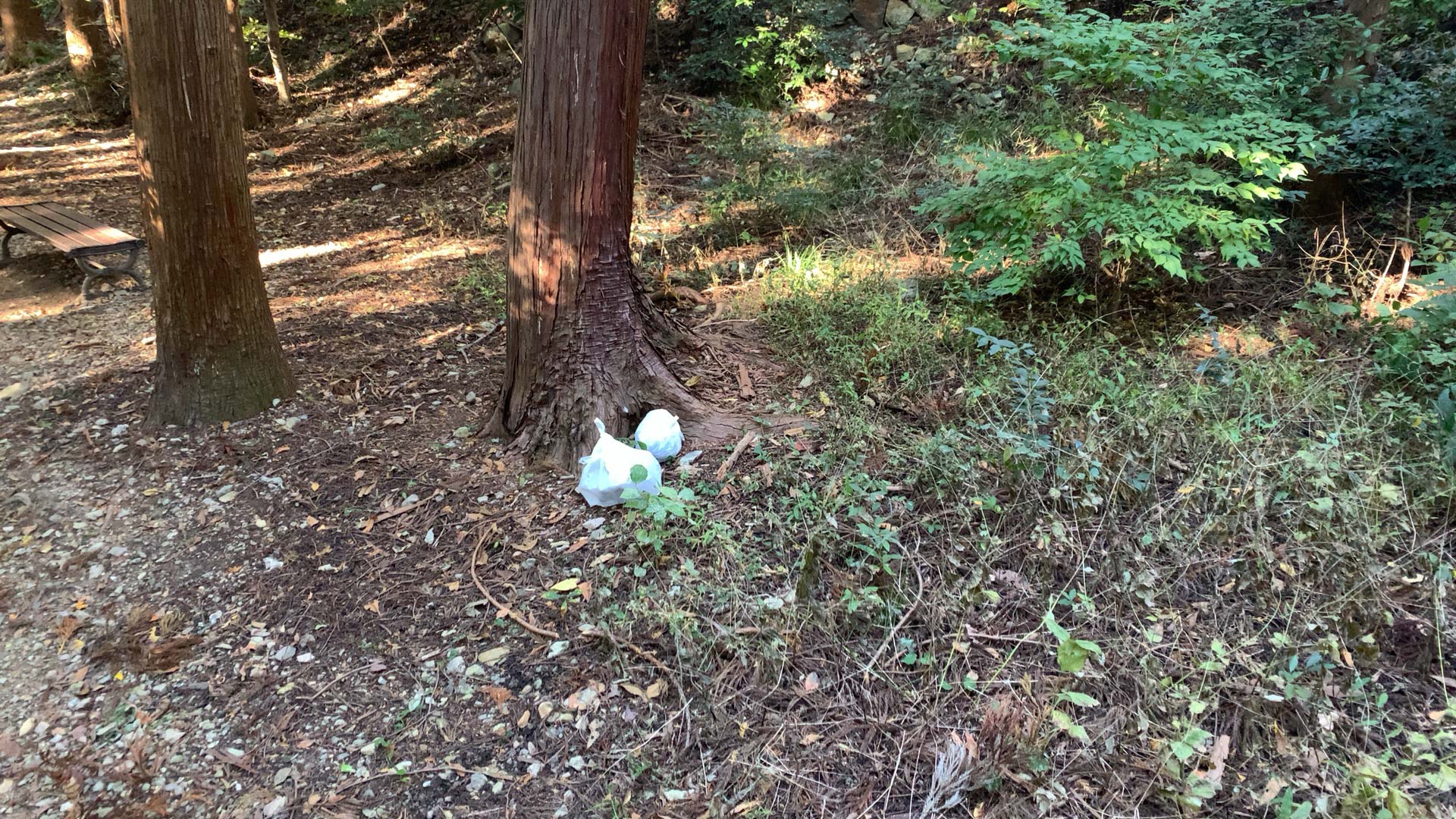 garbage bag Object Detection Dataset by Nguyen Phan