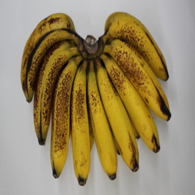 fruit test Object Detection Dataset and Pre-Trained Model by Fruit Trial