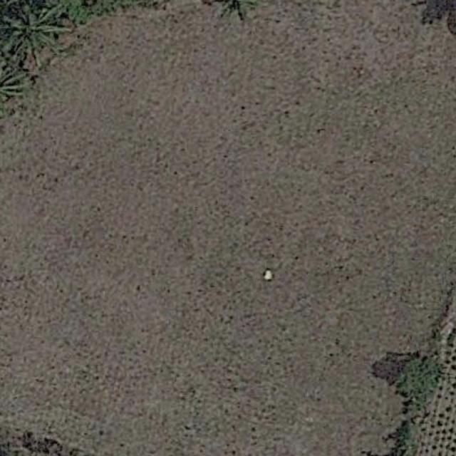 multiclass Object Detection Dataset by Jere