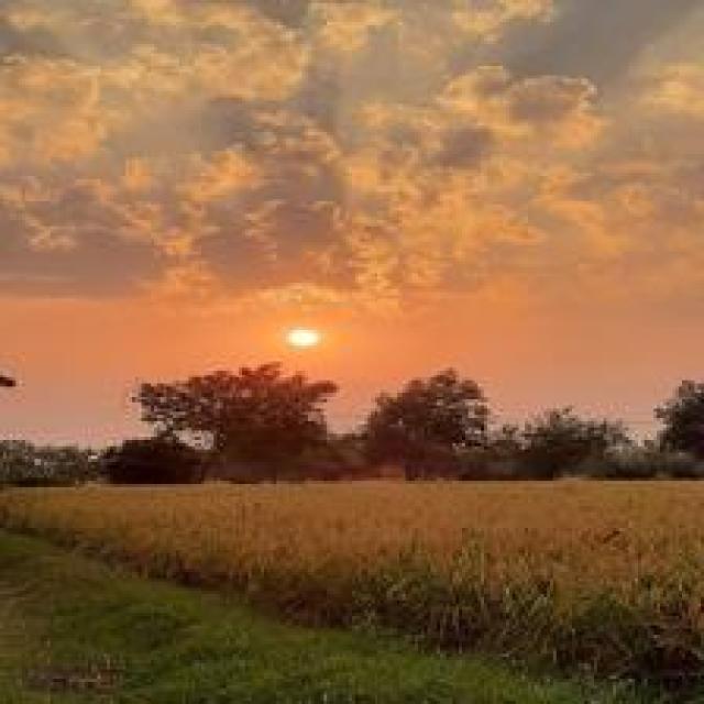 Sun Object Detection Dataset and Pre-Trained Model by Clouds 1