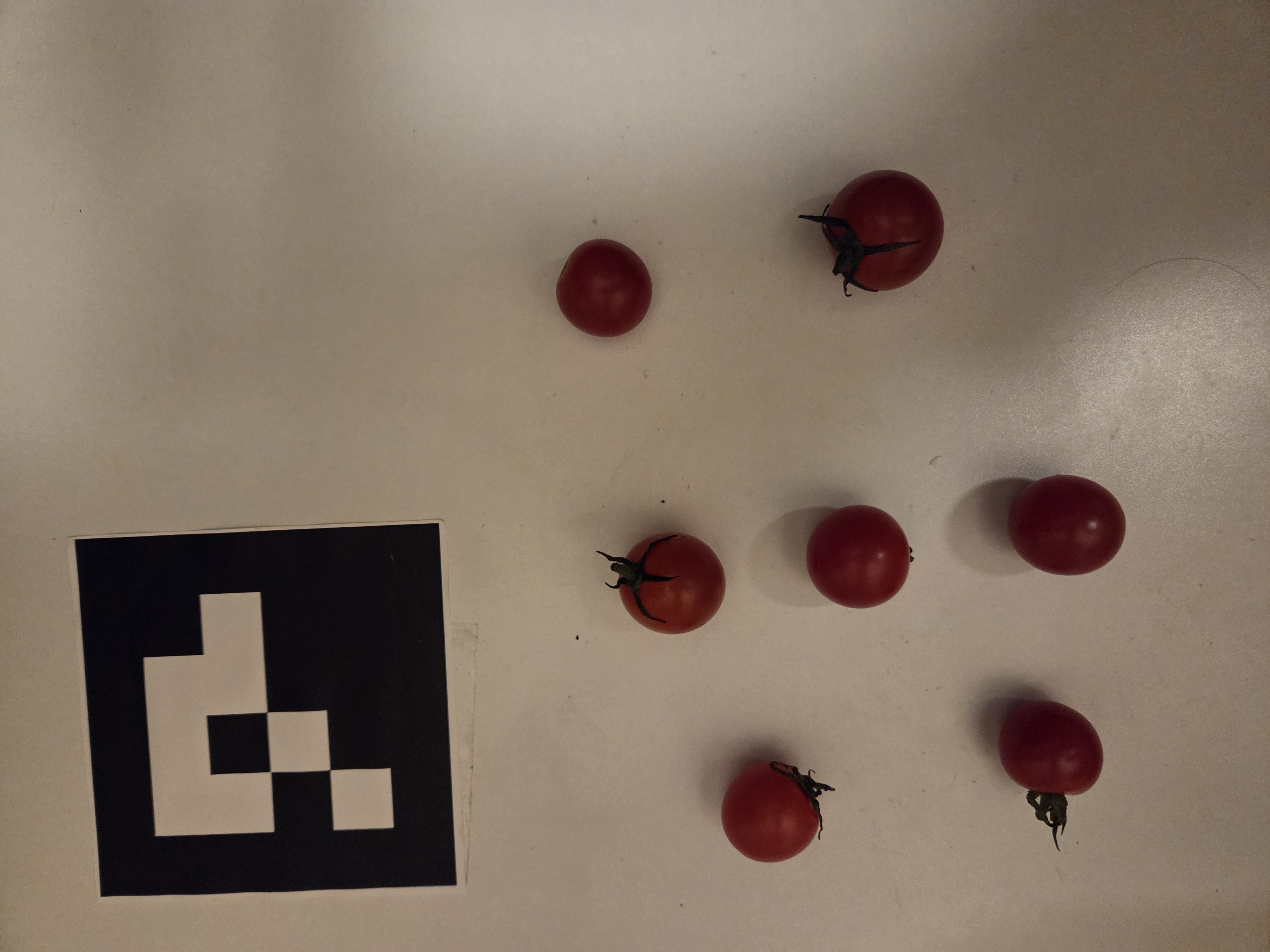 mini-tomato-segmentation Instance Segmentation Dataset by Mini Tomato