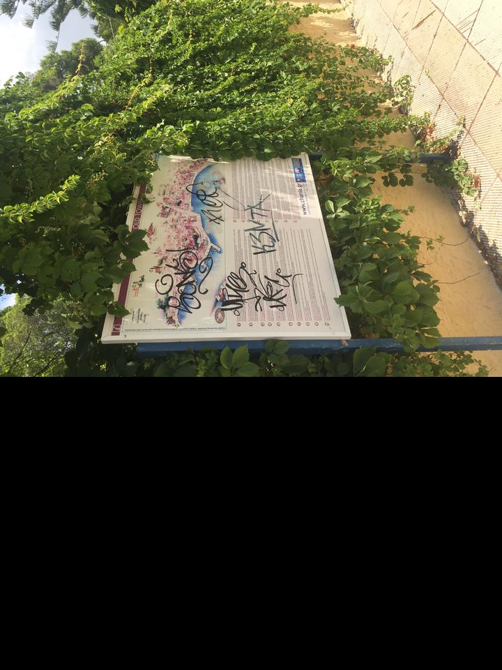 Vandalism-and-Graffiti Object Detection Dataset by Visionifyai Arunima