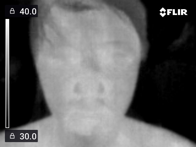 20240901_thermal_150+ Object Detection Dataset by EricYu