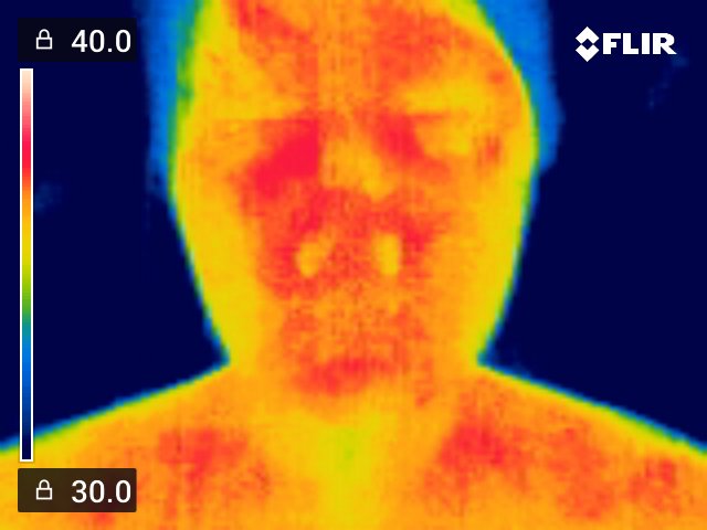thermal Object Detection Dataset by EricYu