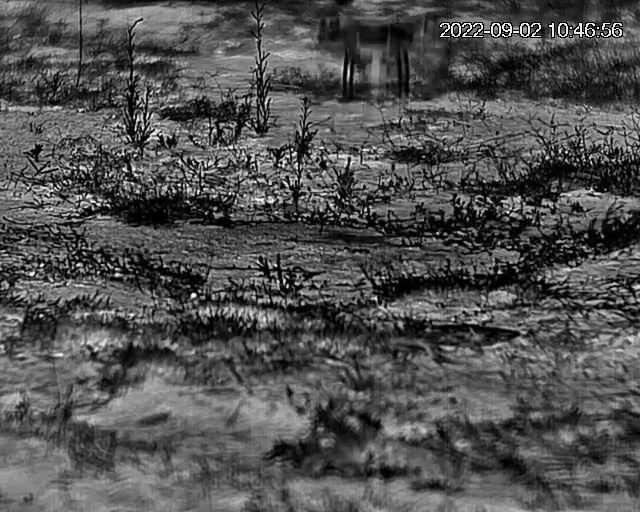 Thermal_drone_dataset Object Detection Dataset by new-workspace-at15m