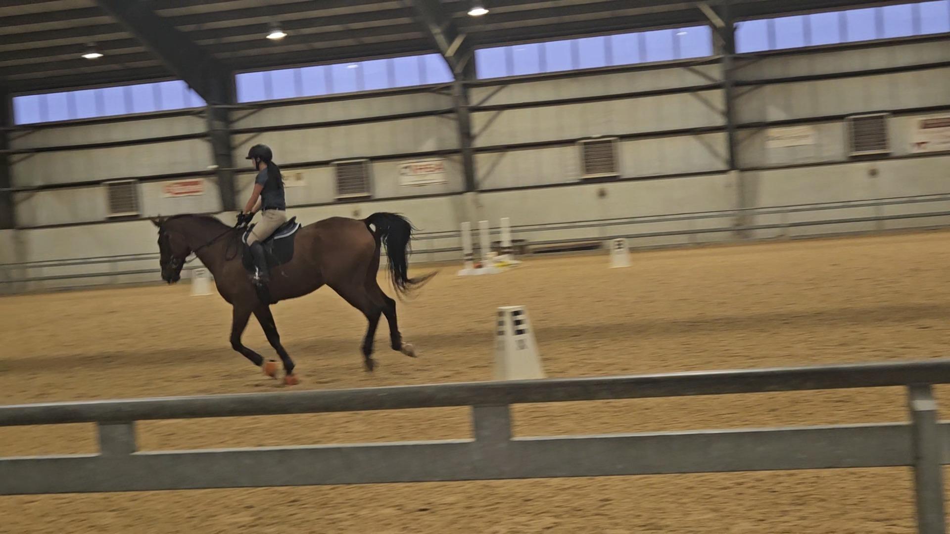 rider-horse Object Detection Dataset by Human Riding Posture and Horse Performance