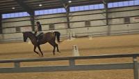 Human Riding Posture and Horse Performance - Roboflow Universe