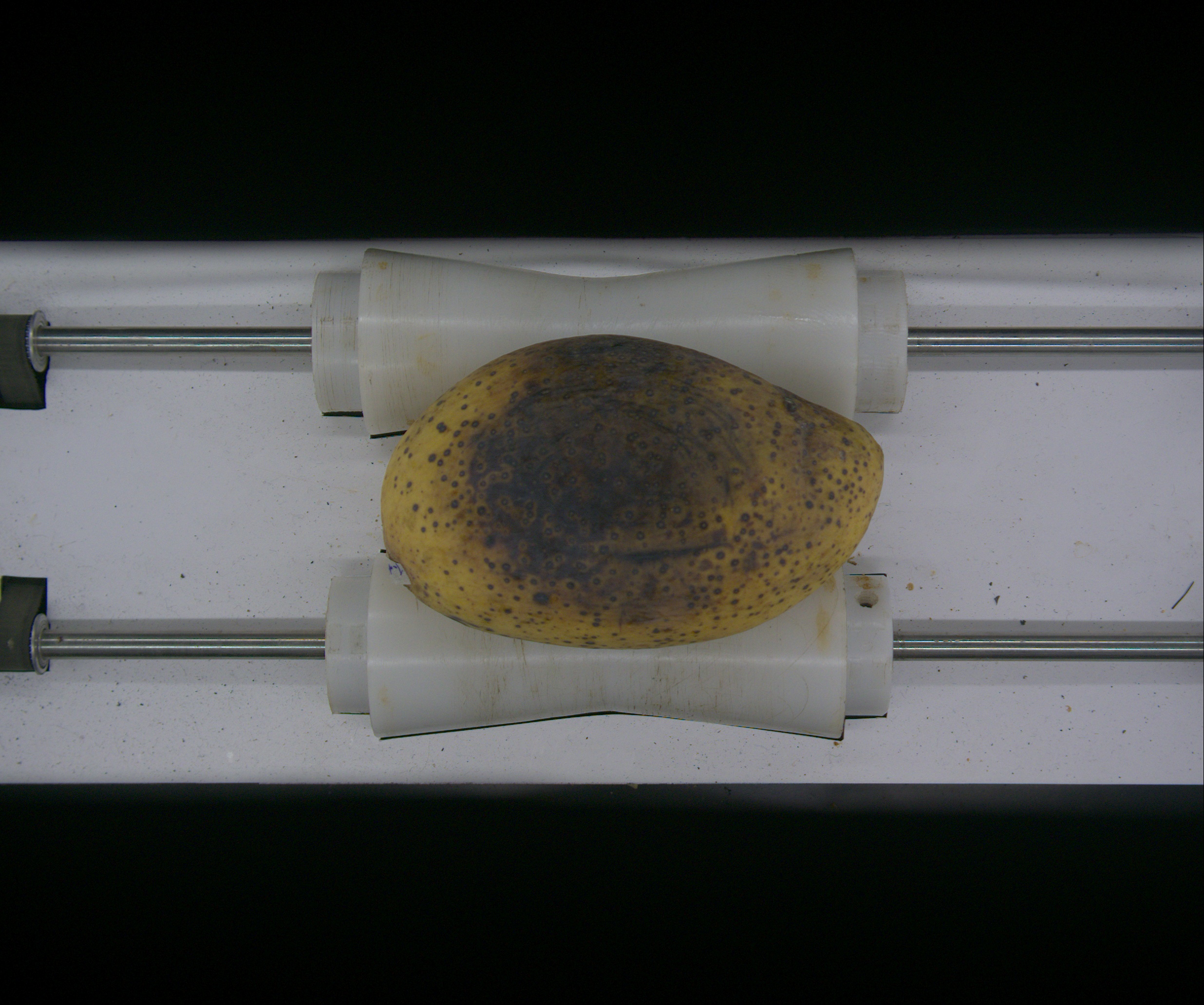 Mango Object Detection Model By Donghh