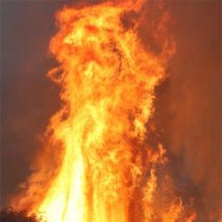 Fire Detection Object Detection Dataset by new-workspace-llbl1