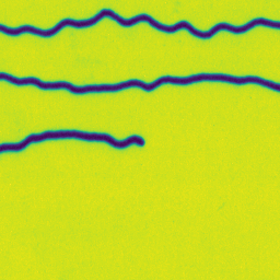 Mind the gap Object Detection Model by gaps