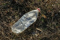 python (python-v2jsg) - Roboflow Universe