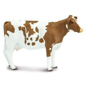 Cow Neck (Object) Object Detection Dataset by Mechtronics Image ...