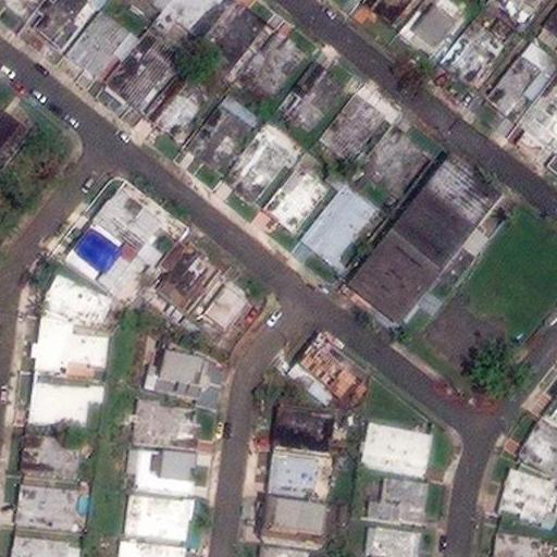 Cat Breeds Object Detection Dataset By Cat Identification