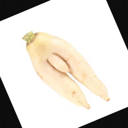 radish Object Detection Dataset by curry