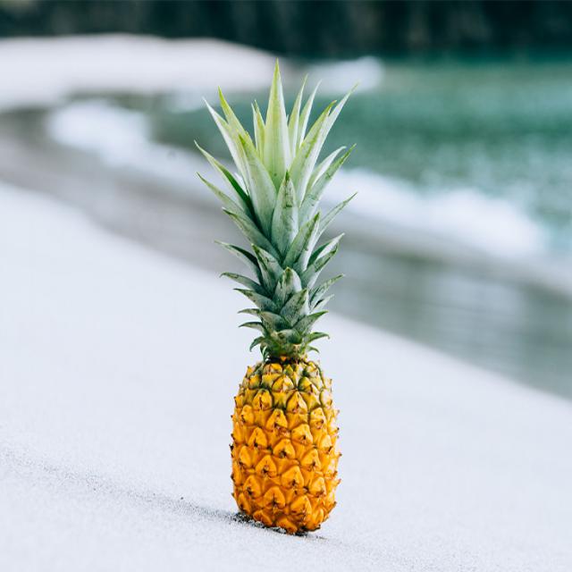 pineapple Object Detection Dataset by curry