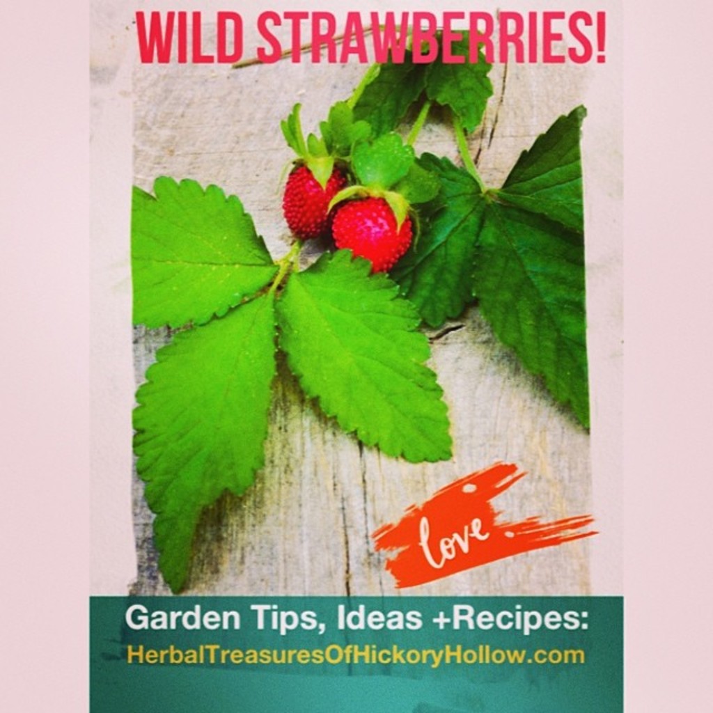 strawberry Object Detection Dataset by curry