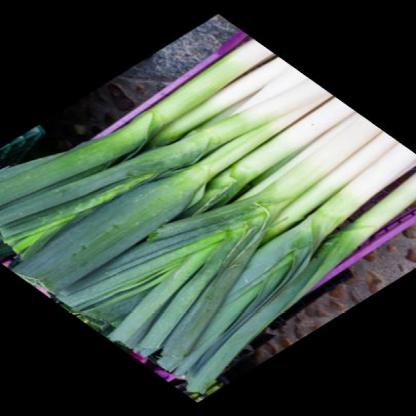 green Object Detection Dataset by curry