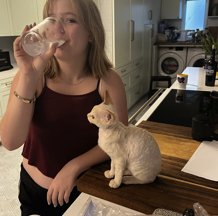 Gary the Cat Object Detection Dataset by Oliver Libaw