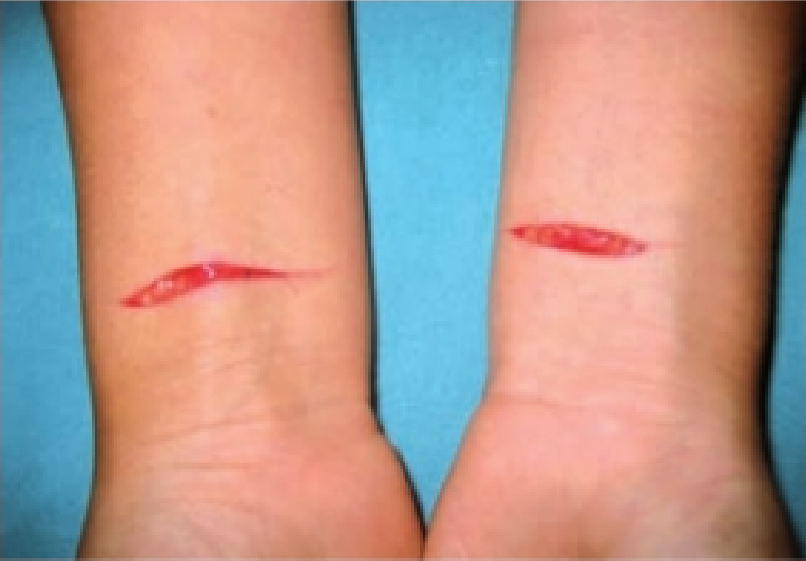 segmentation Object Detection Dataset and Pre-Trained Model by Liedbody