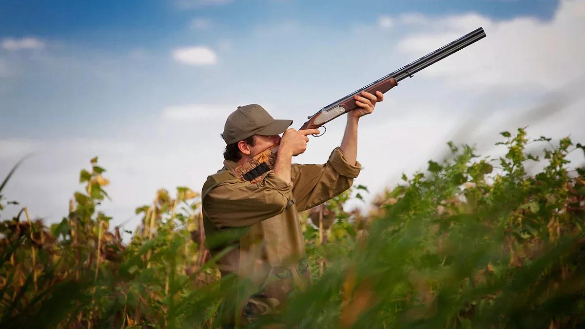 Cubes Object Detection Dataset And Pre Trained Model By Aleks Altman