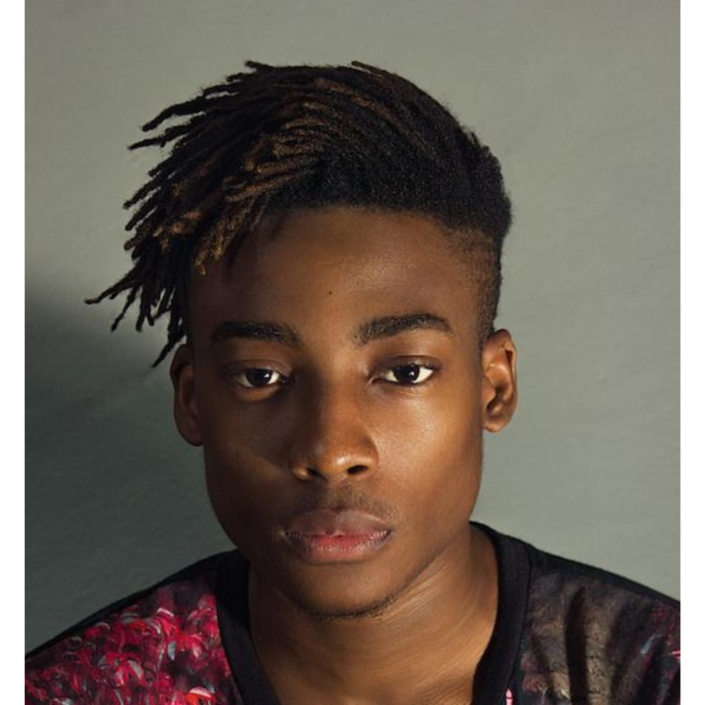 face-h Instance Segmentation Dataset by samplethesis