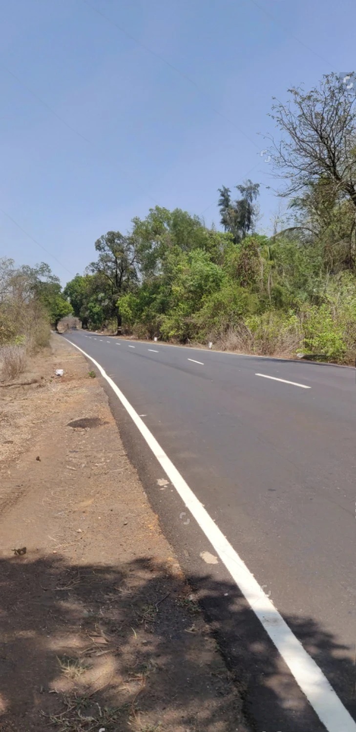 road_shoulder_detection Instance Segmentation Model by roadshoulder