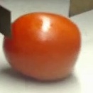 Tomato Object Detection Dataset by AnHoang