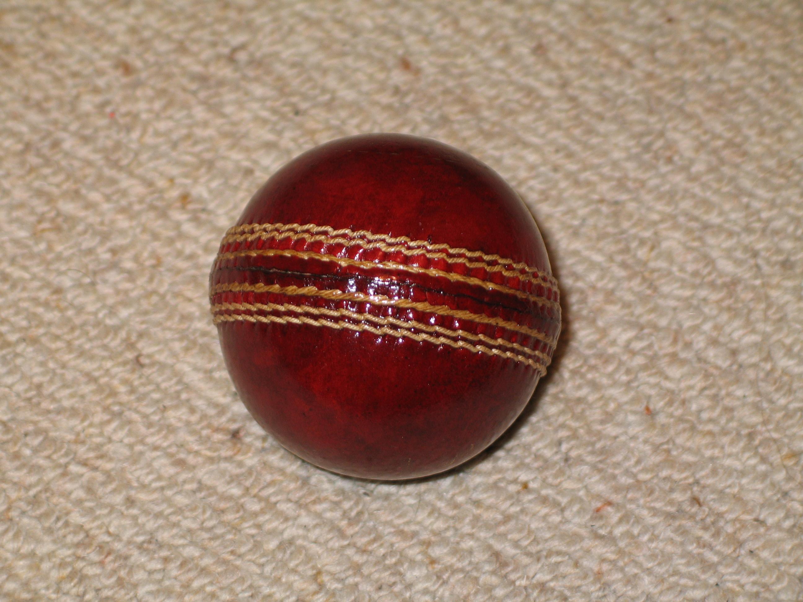 Cricket ball Object Detection Dataset by talovpracticas