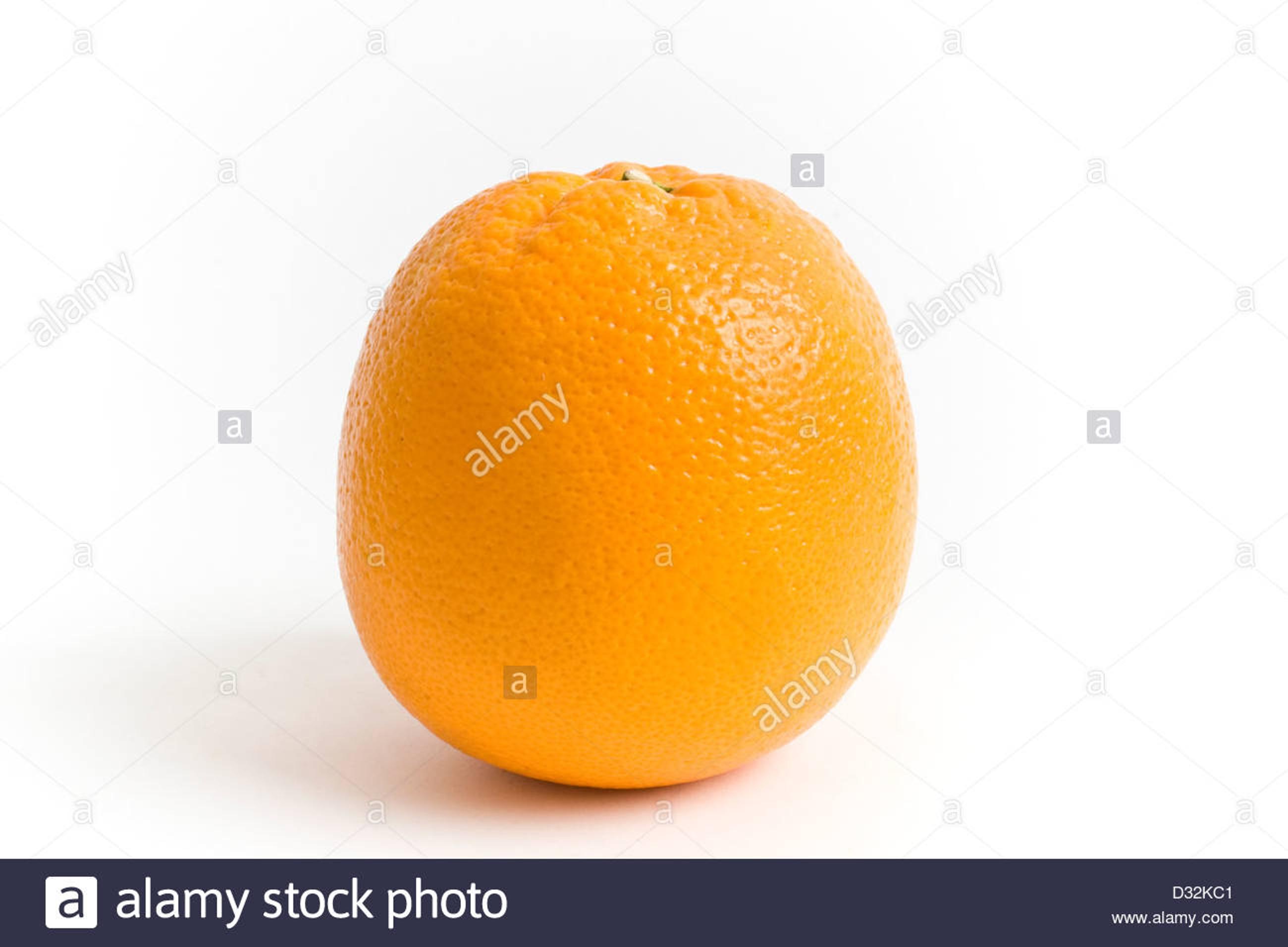 Orange Object Detection Dataset by talovpracticas