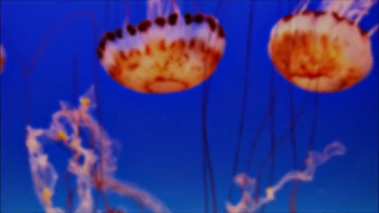 seami_three_classes Object Detection Dataset by Ticon Dataset