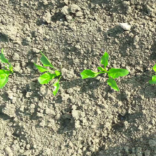 Vegetables Detection Object Detection Dataset And Pre Trained Model By