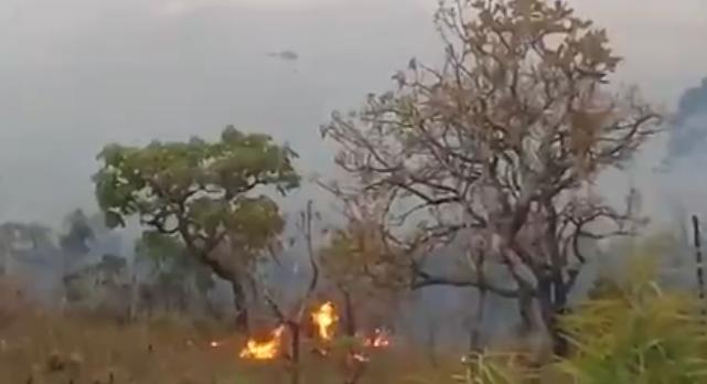 Forest fire detection Model by Gustavo Cevallos