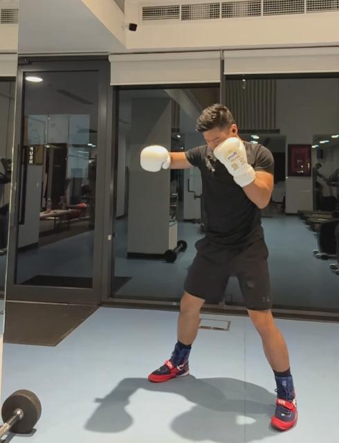 Boxing Punching Detection Object Detection Dataset by Hongbo Wei