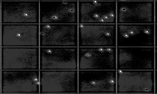CELL DETACTION Object Detection Dataset and Pre-Trained Model by project-vp1dn
