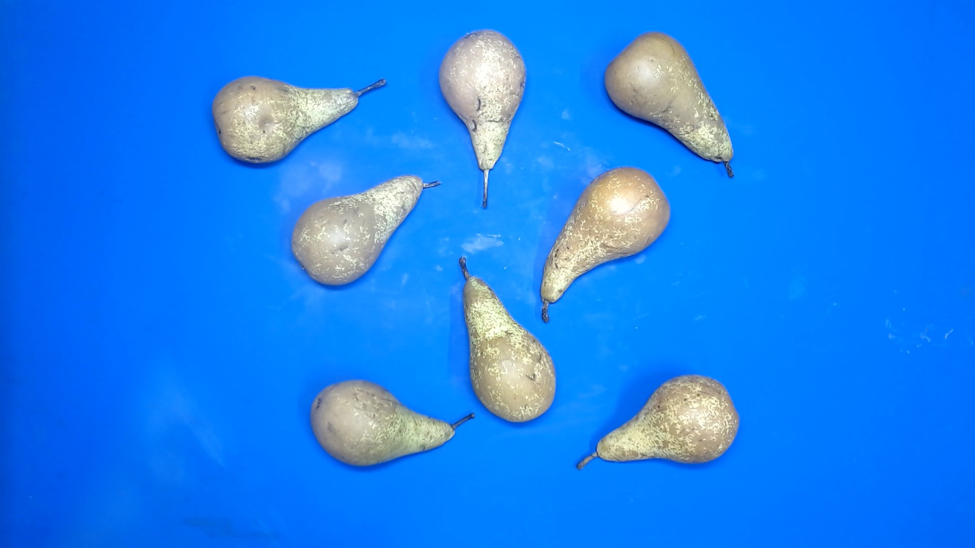 PearPackagingProjectVision Instance Segmentation Dataset by Robotica