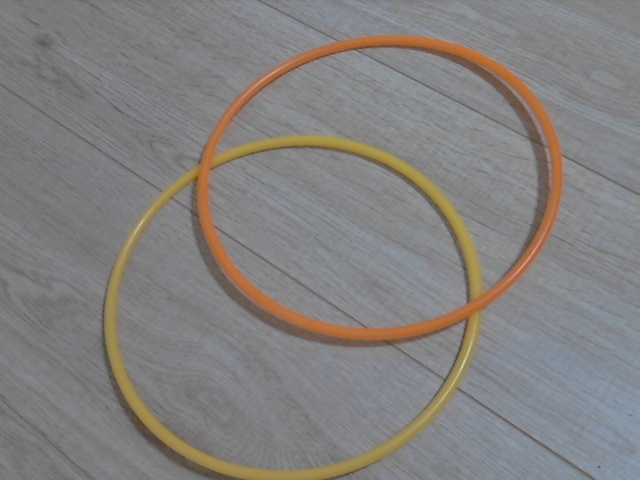 ring Instance Segmentation Dataset by robokon