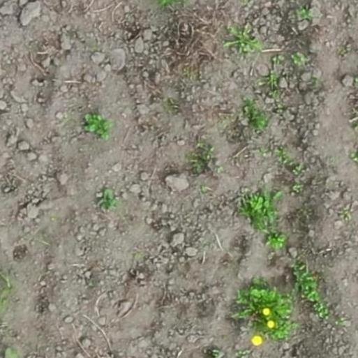 EfficientDet-512 Object Detection Dataset by Universidad