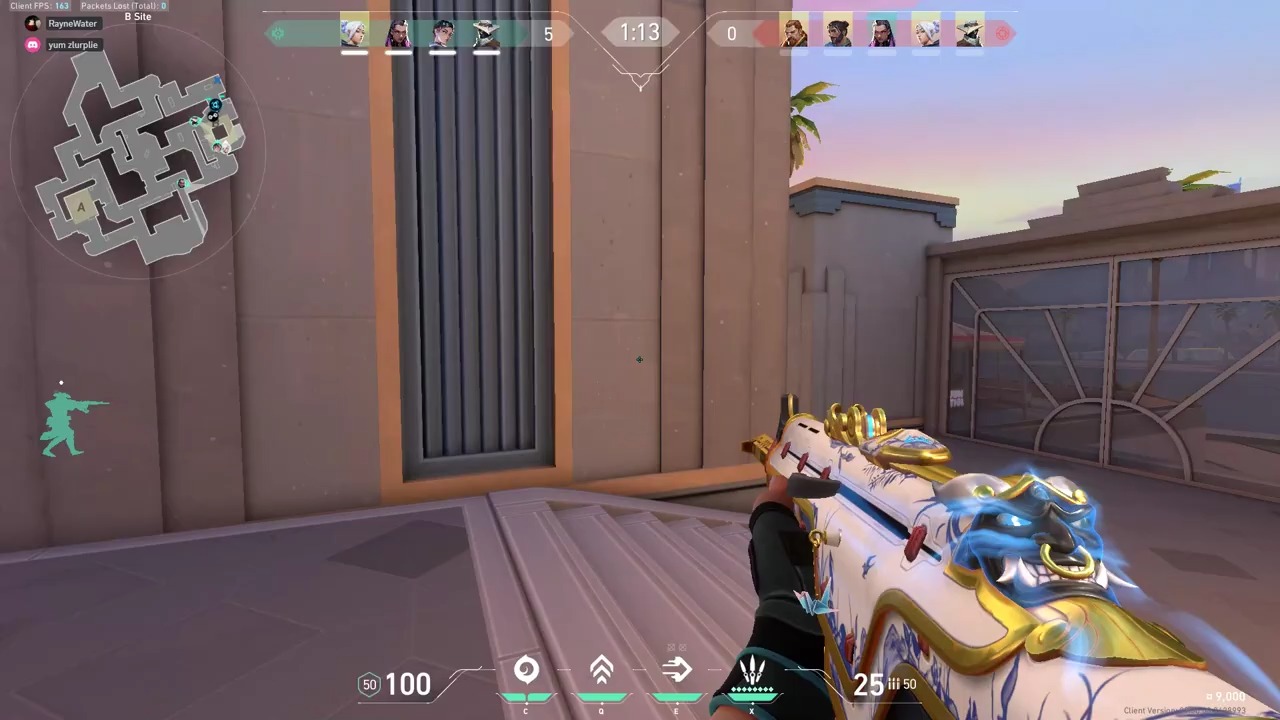 valorant Object Detection Dataset by yolov8project