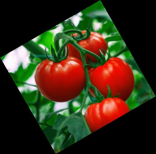 tomato_2 Object Detection Dataset by tomato