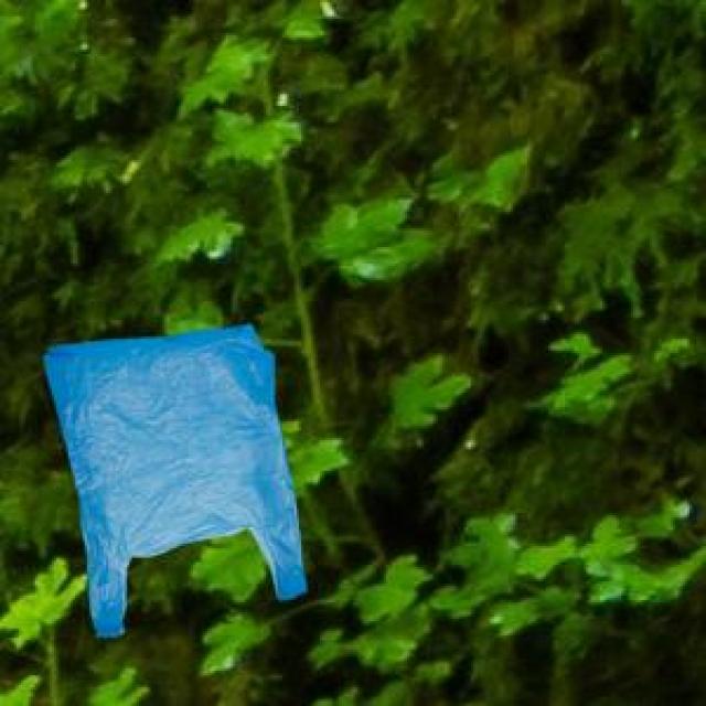 BAG Object Detection Model by Leong