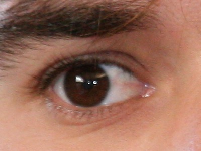 Iris Detection Object Detection Model by nth