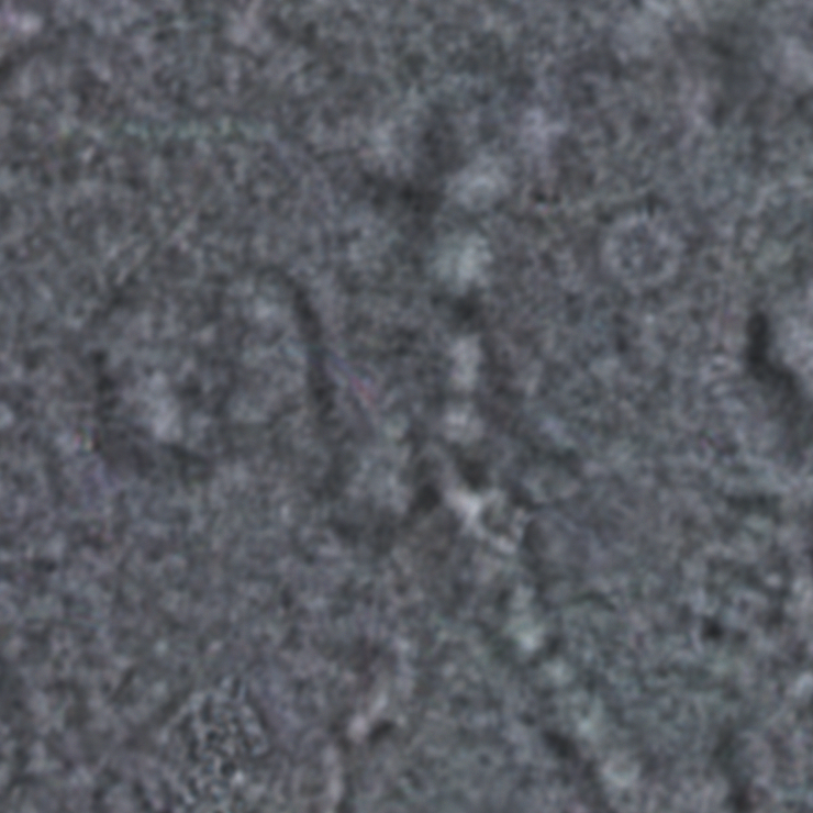 cell segmentation Instance Segmentation Model by qBRM cells